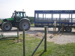Hall Farm Park - Where To Go With Kids - Lincolnshire