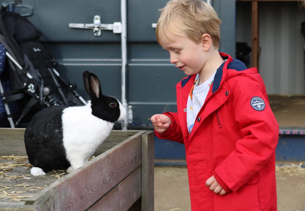 Pink Pig Farm - Where To Go With Kids
