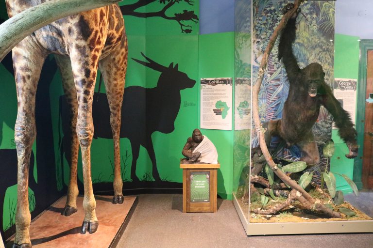 Wollaton Hall - Where To Go With Kids - Nottinghamshire