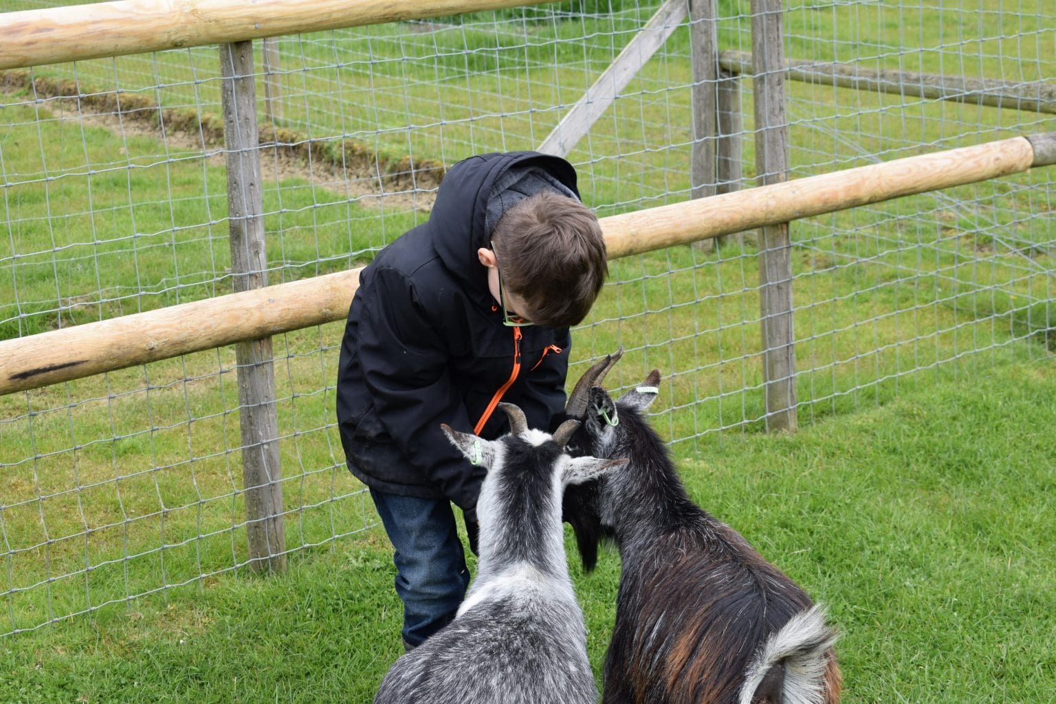 Hamerton Zoo - Where To Go With Kids - Cambridgeshire