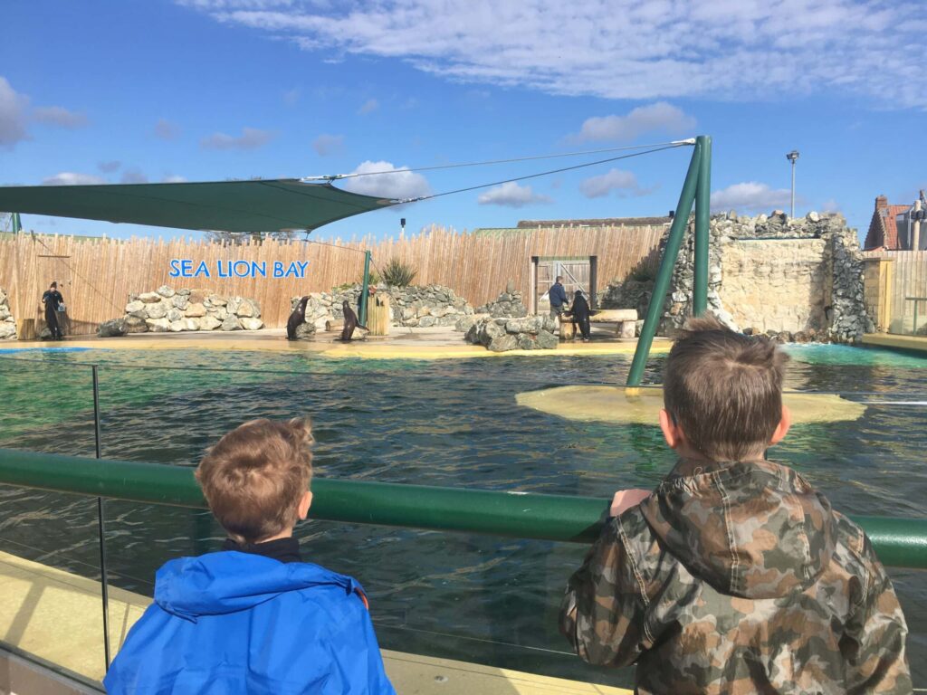 Banham Zoo - Where To Go With Kids