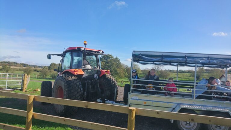Amerton Farm - Where To Go With Kids - Staffordshire