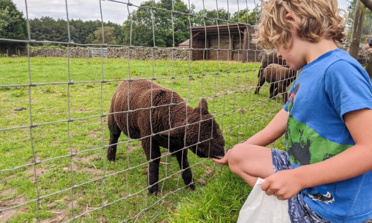 Matlock Bath Aquarium and Arcade - Where To Go With Kids - Derbyshire