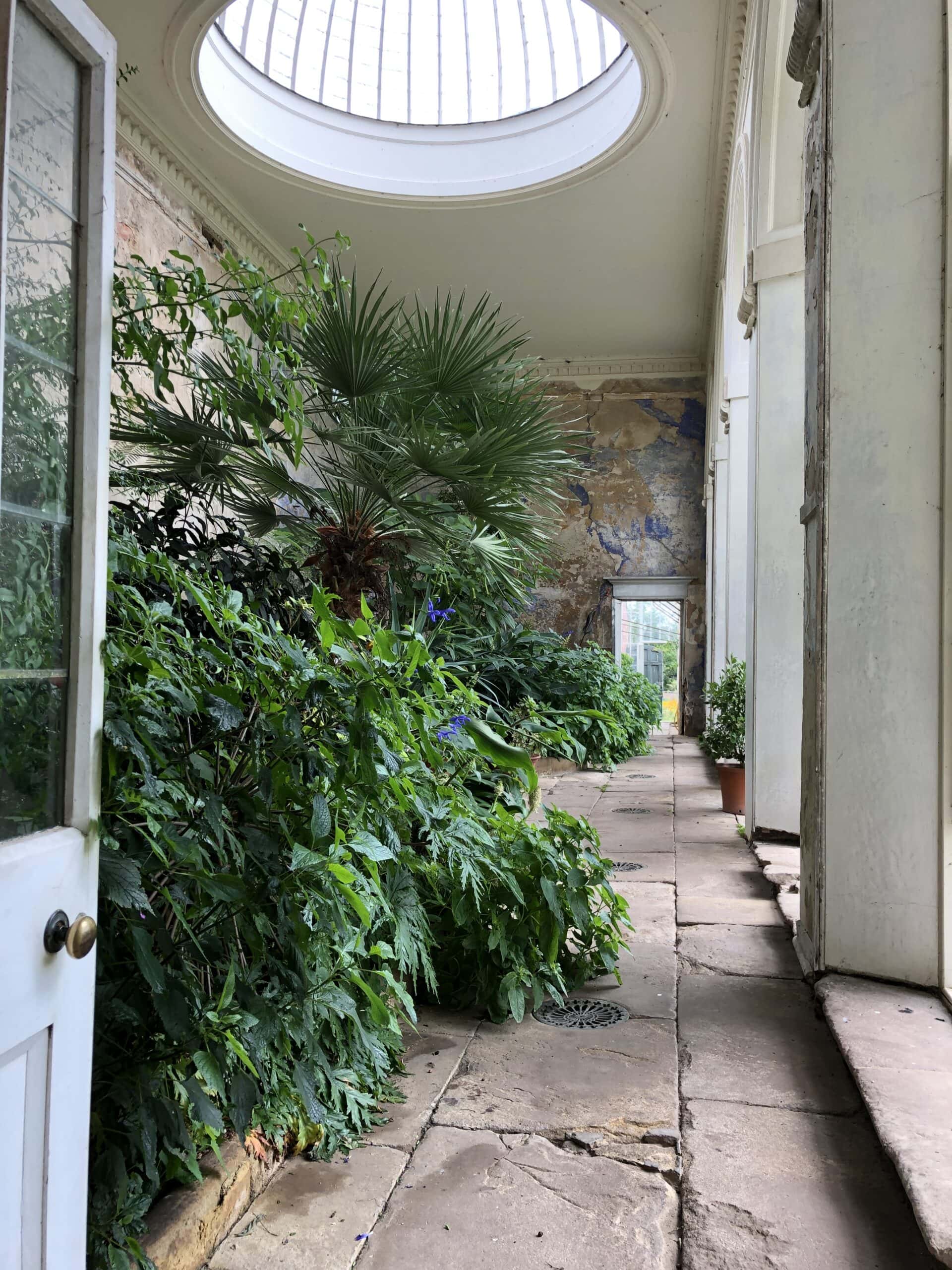 Calke Abbey - Where To Go With Kids - Derbyshire