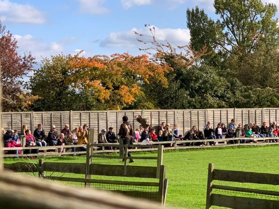 Baytree Owl and Wildlife Centre - Where To Go With Kids - Lincolnshire