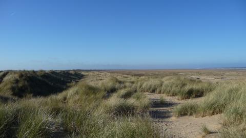 Saltfleetby Theddlethorpe Dunes National Nature Reserve