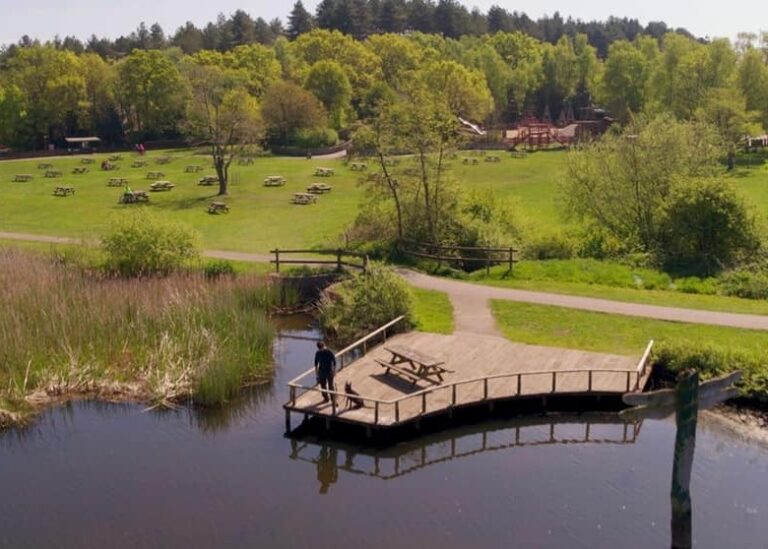 Moors Valley Country Park - Where To Go With Kids - Dorset