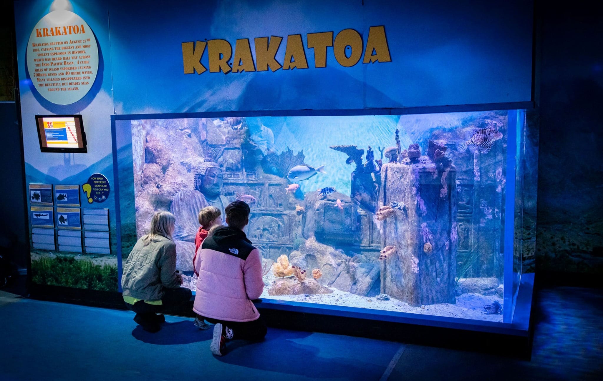 Deep Sea World - Where To Go With Kids - Scotland