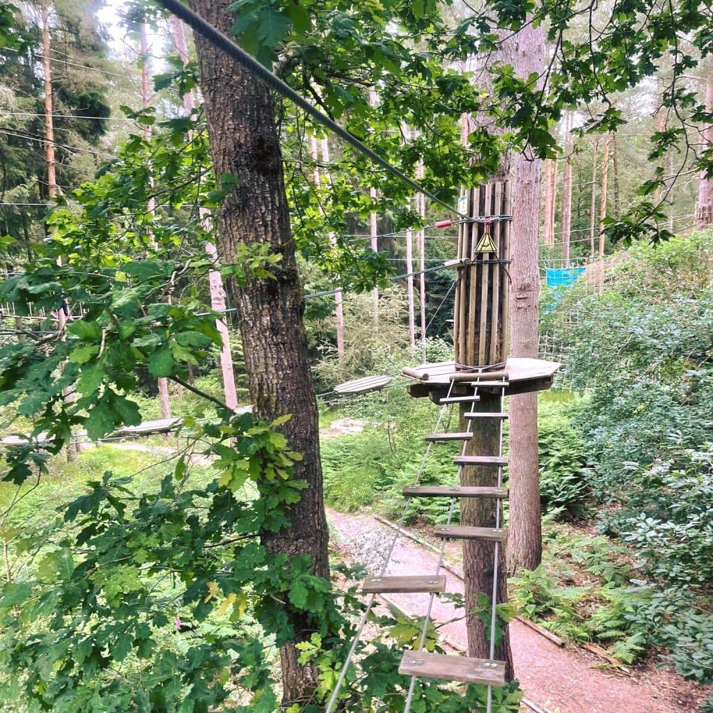 Go Ape Forest Of Dean Beechenhurst Where To Go With Kids go-ape-forest-of-dean-beechenhurst-where-to-go-with-kids
