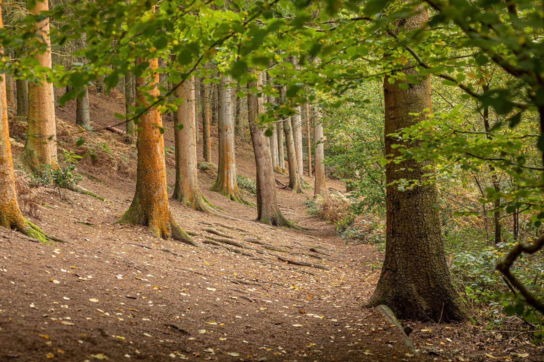 Rushmere Country Park - Where To Go With Kids - Bedfordshire