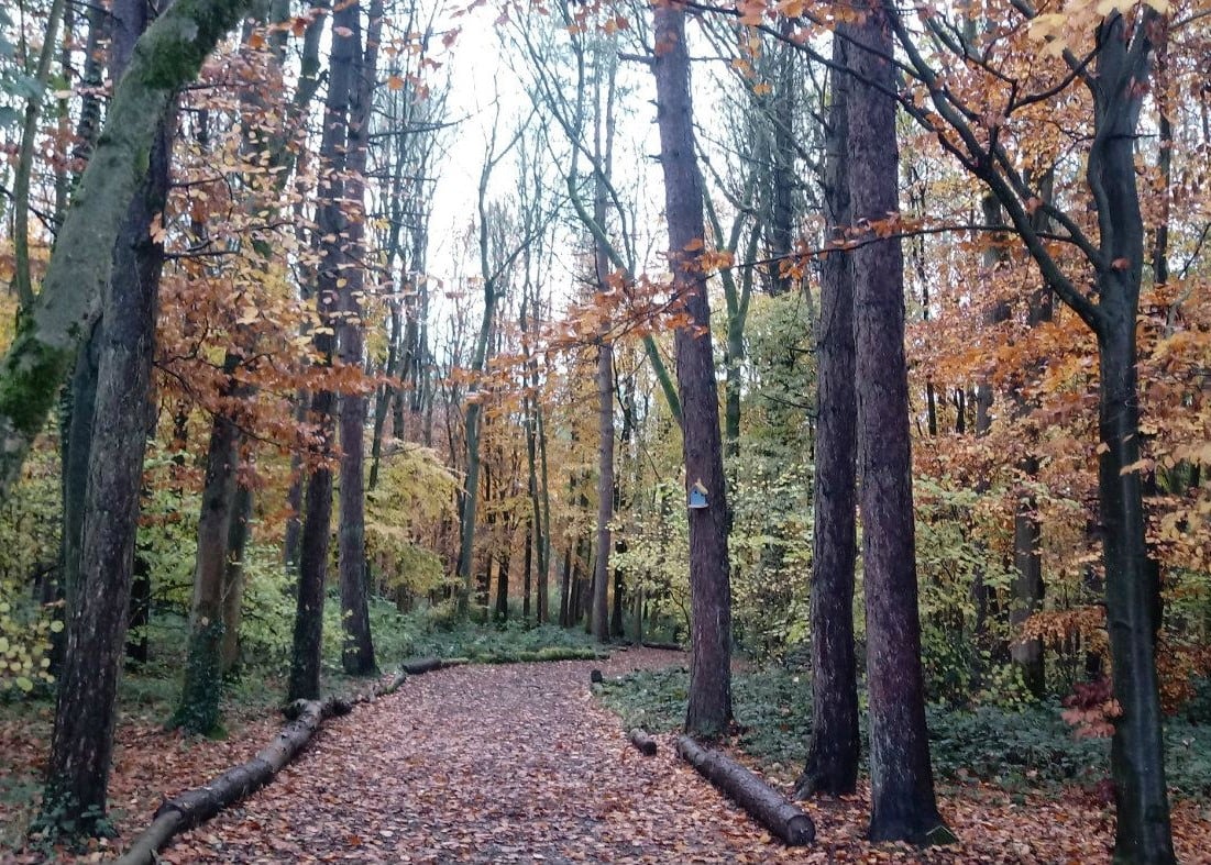 Dunstable Downs and Whipsnade Estate – Where To Go With Kids