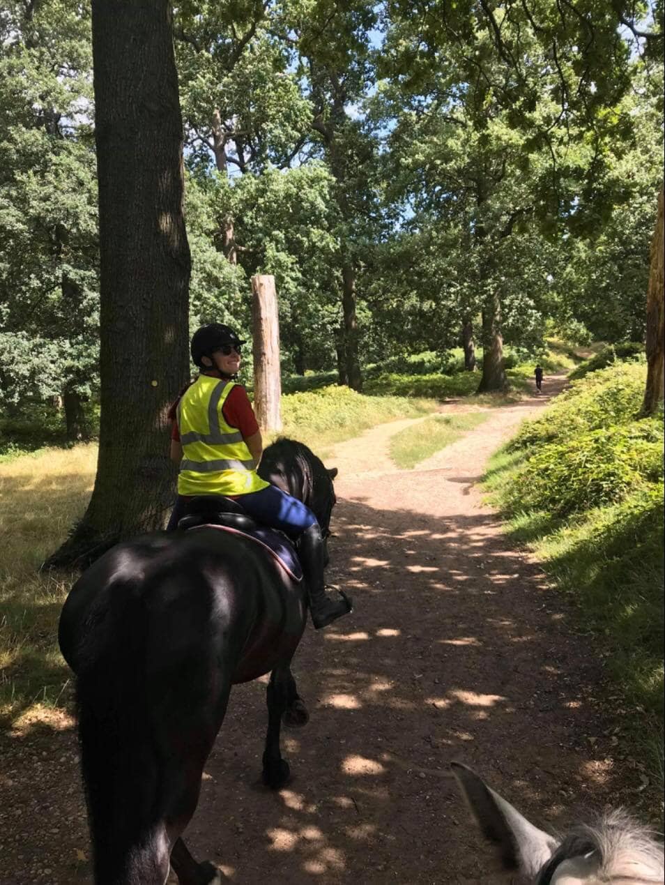 Brook Stables Riding School | Where to go with Kids