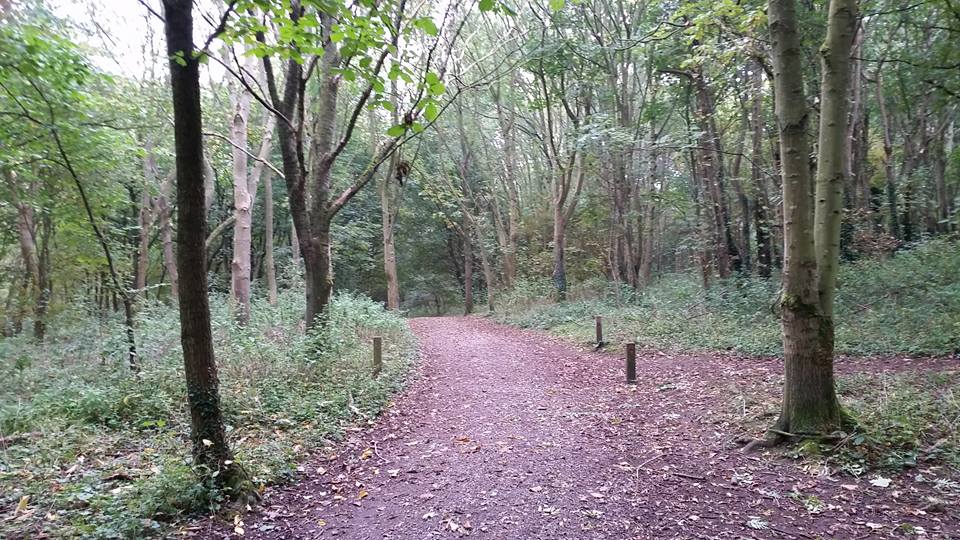 Alyn Waters Country Park - Where to Go With Kids - Wrexham