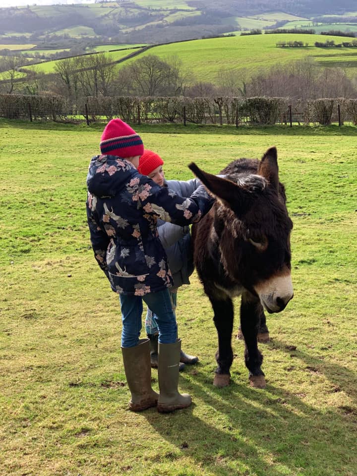 Cute Farm Experience - Where to Go With Kids - Monmouthshire