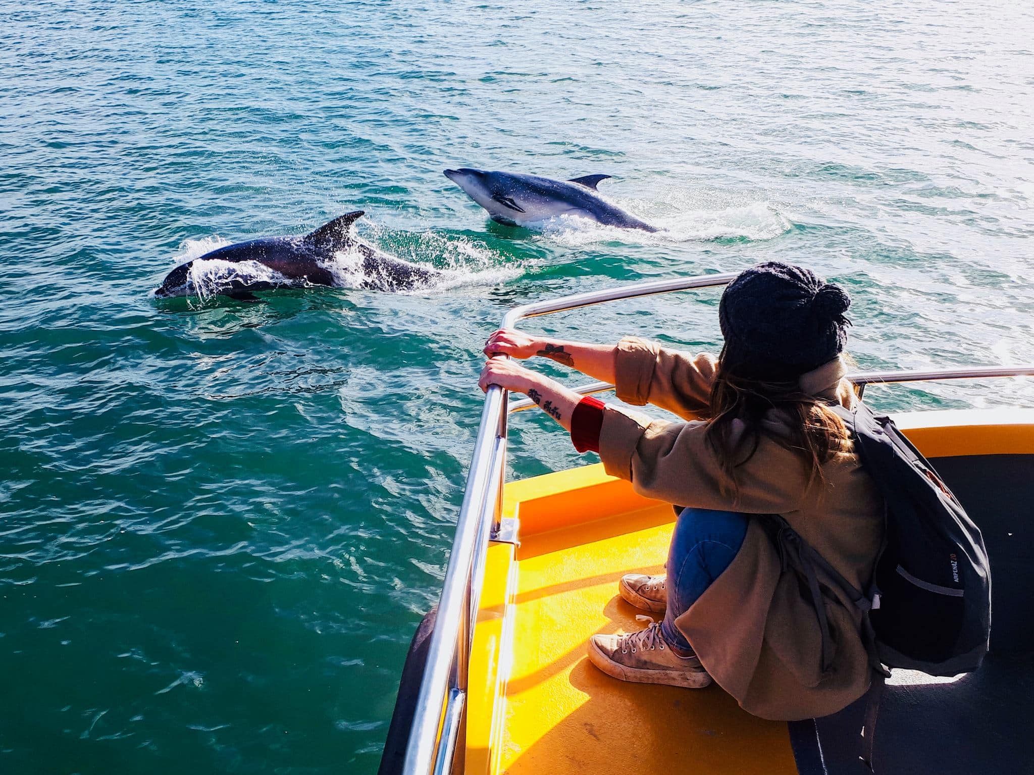 Tenby Boat Trips - Where to Go With Kids - Pembrokeshire