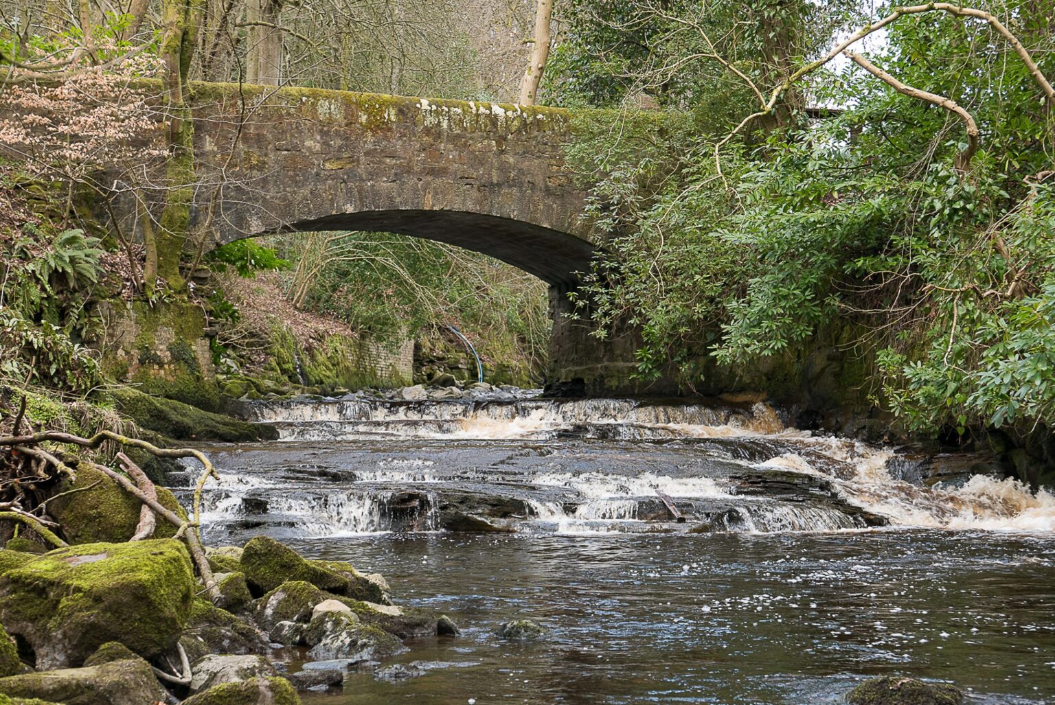 Dean Castle Country Park - Where To Go With Kids - Ayrshire