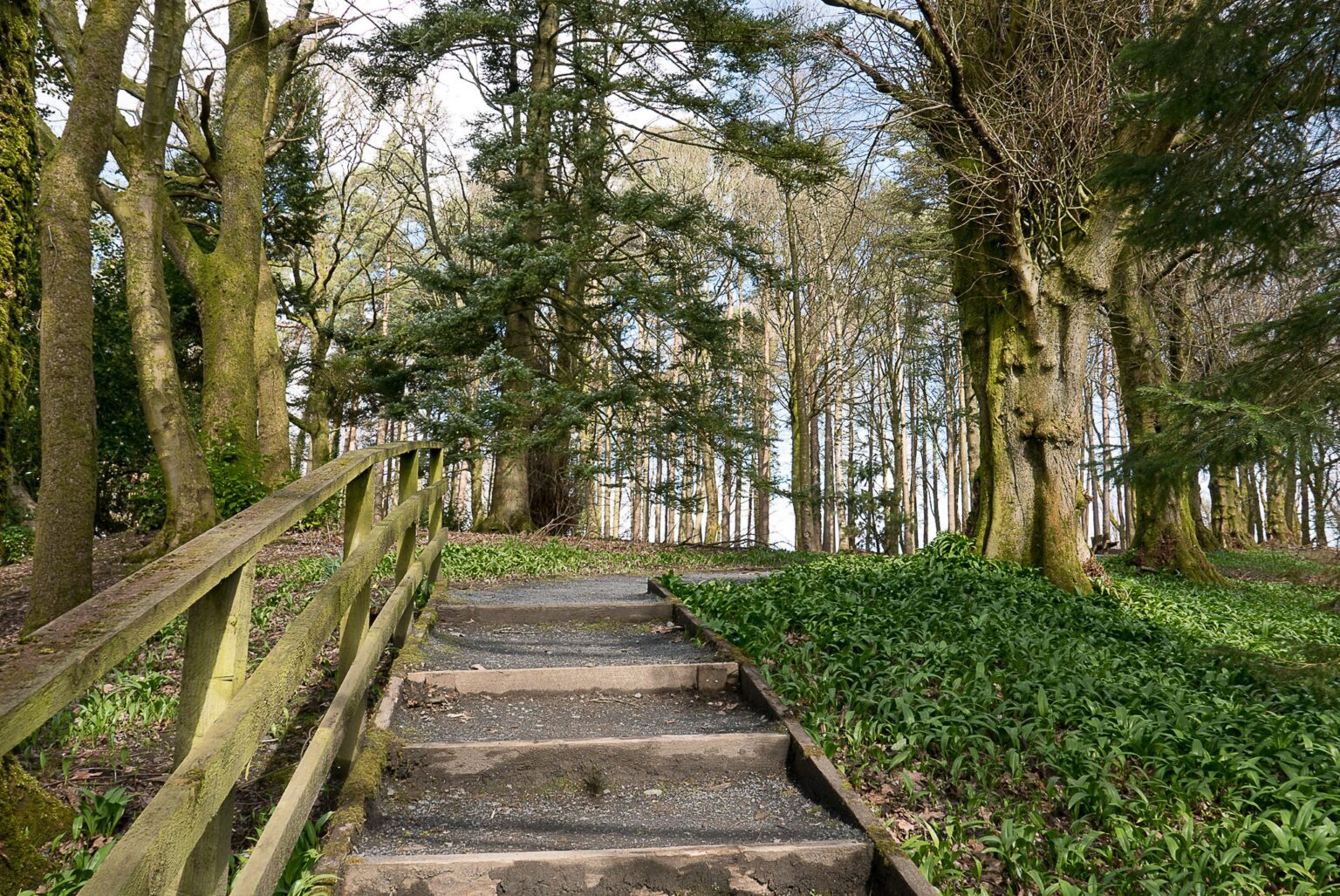 Dean Castle Country Park | Where to go with Kids