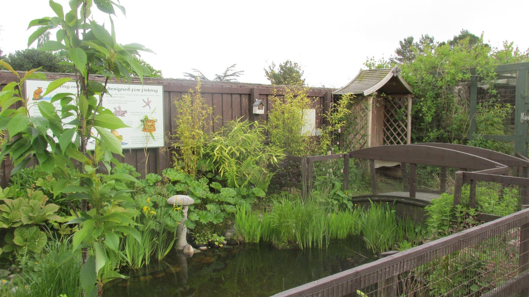 Scottish Owl Centre – Where To Go With Kids