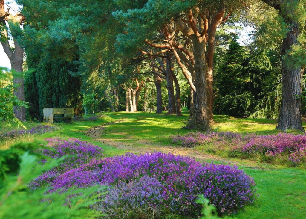 Windsor Great Park - Where To Go With Kids - Berkshire