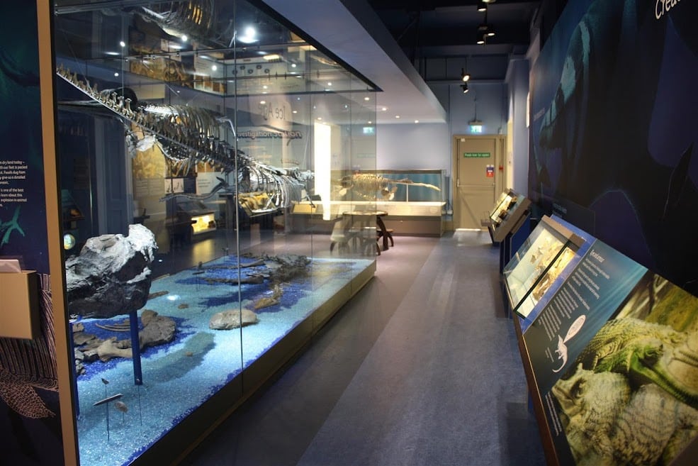 Peterborough Museum - Where To Go With Kids - Cambridgeshire