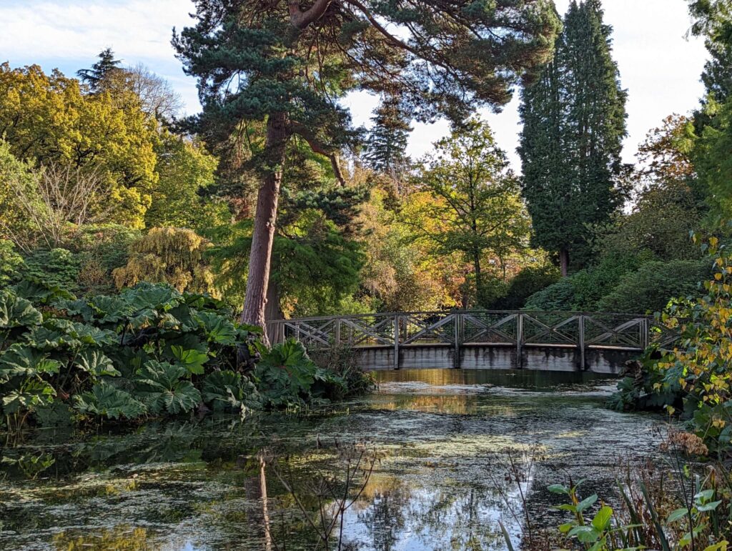 Tatton Park - Where To Go With Kids