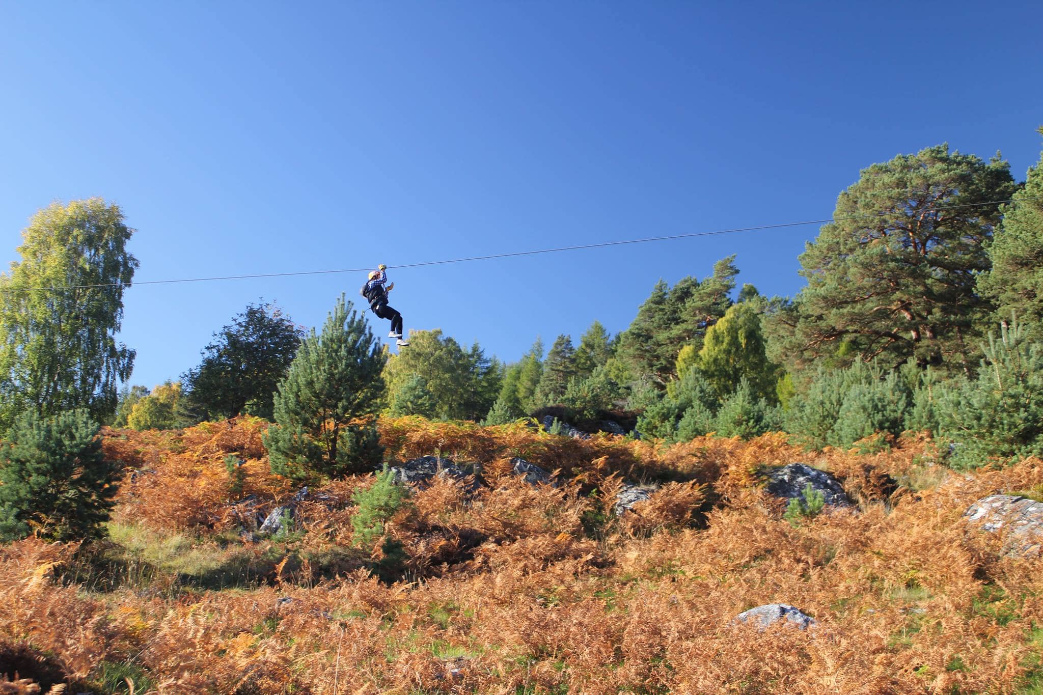 Zip Trek Adventure Park - Where To Go With Kids - Highlands