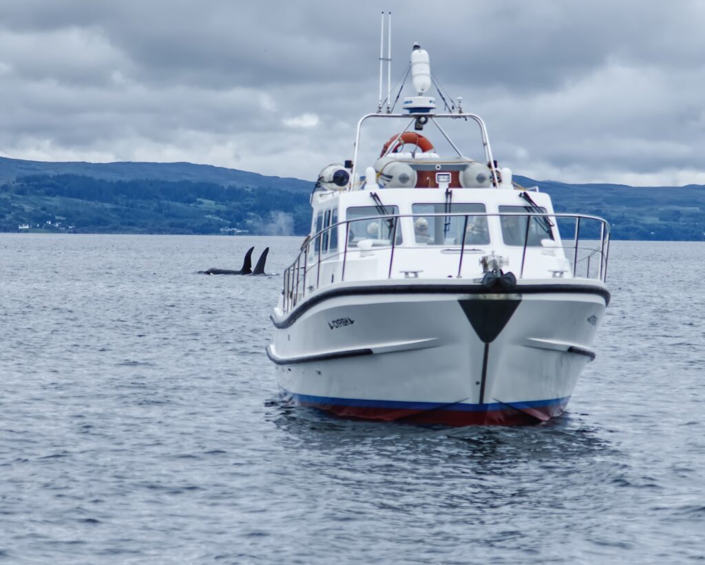 Western Isle Cruises - Where To Go With Kids - Highlands