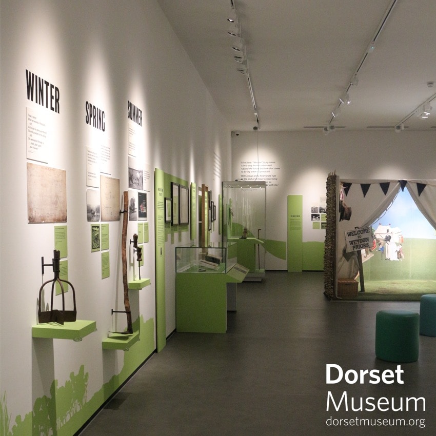 Dorset Museum - Where To Go With Kids - Dorset
