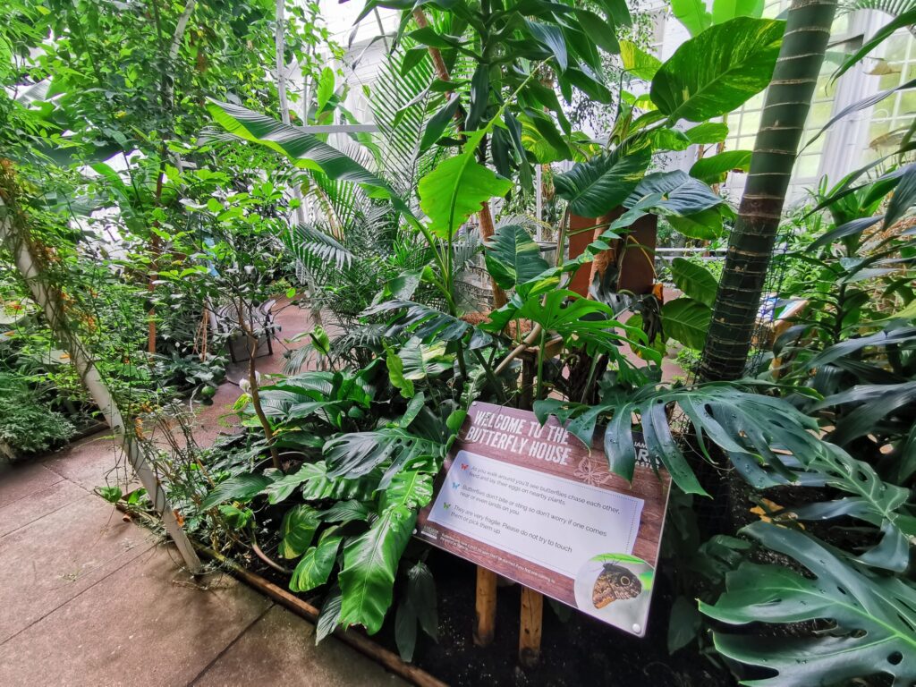 Williamson Park - Where to go With Kids - Lancashire