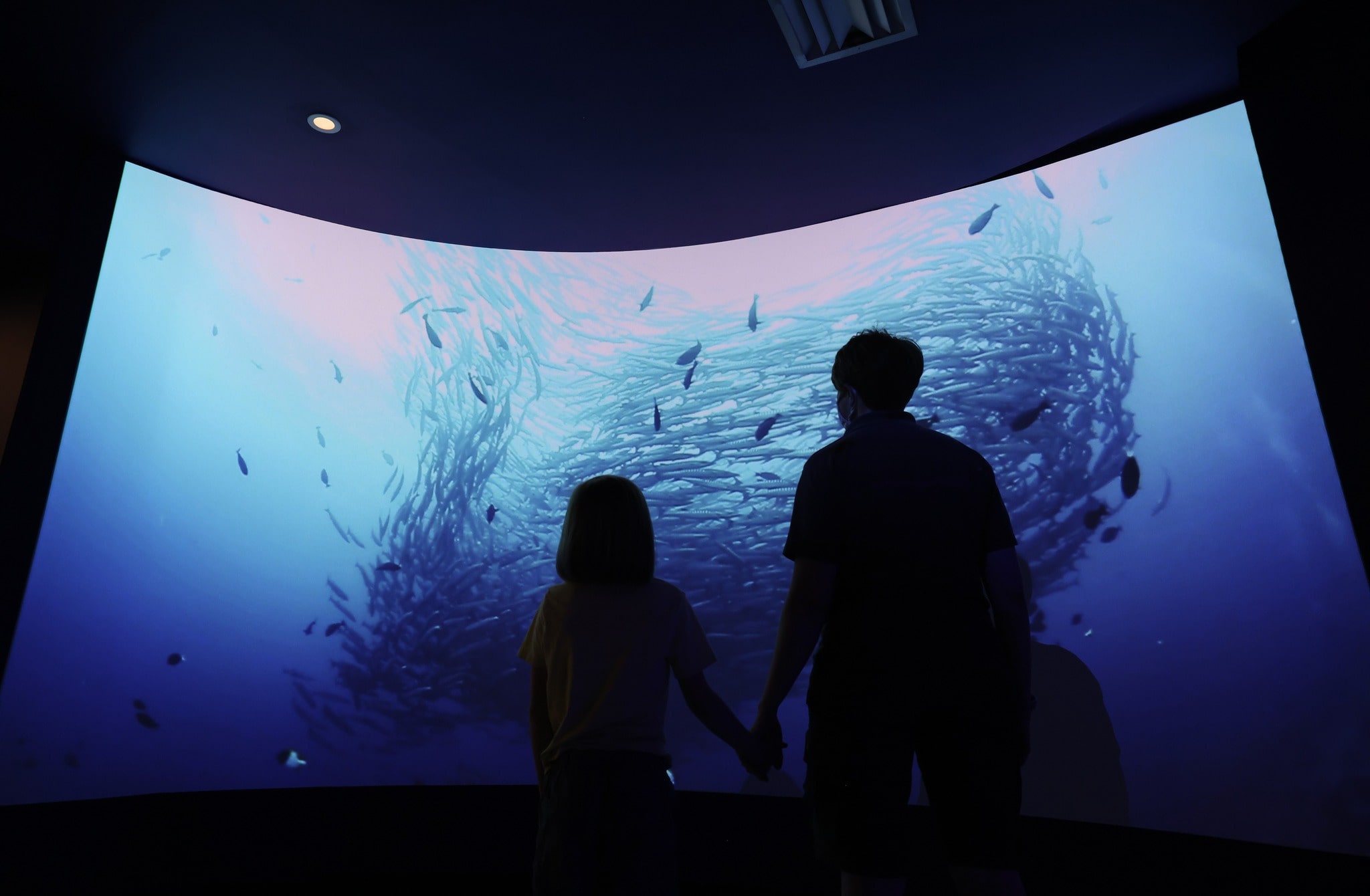 World Museum | Where to go with Kids