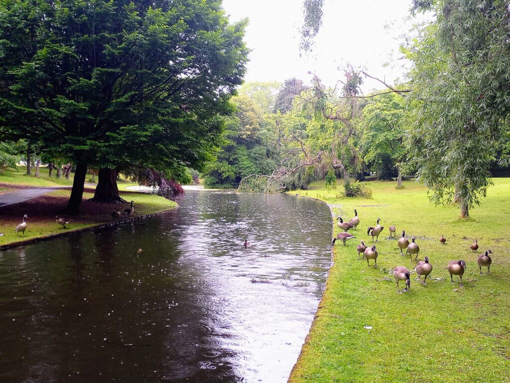 Sefton Park | Where to go with Kids