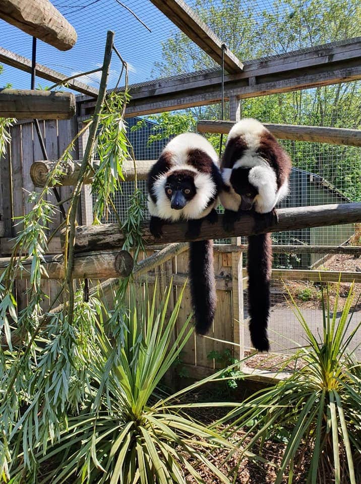 Northumberland College Zoo - Where To Go With Kids - Northumberland
