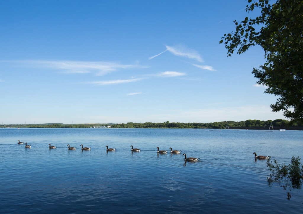 Chasewater Country Park - Where To Go With Kids - Staffordshire