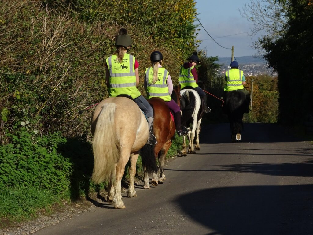 Pevlings Farm Riding and Livery Stables - Where to go With Kids - Somerset