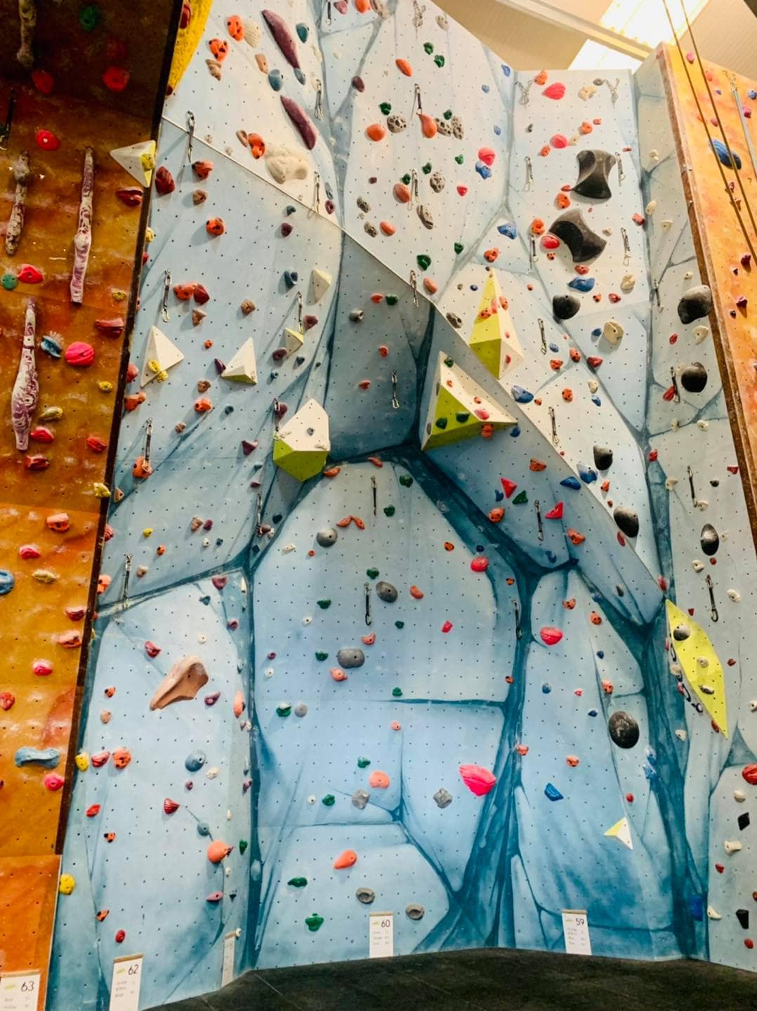 Blue Spider Climbing - Where To Go With Kids - Surrey