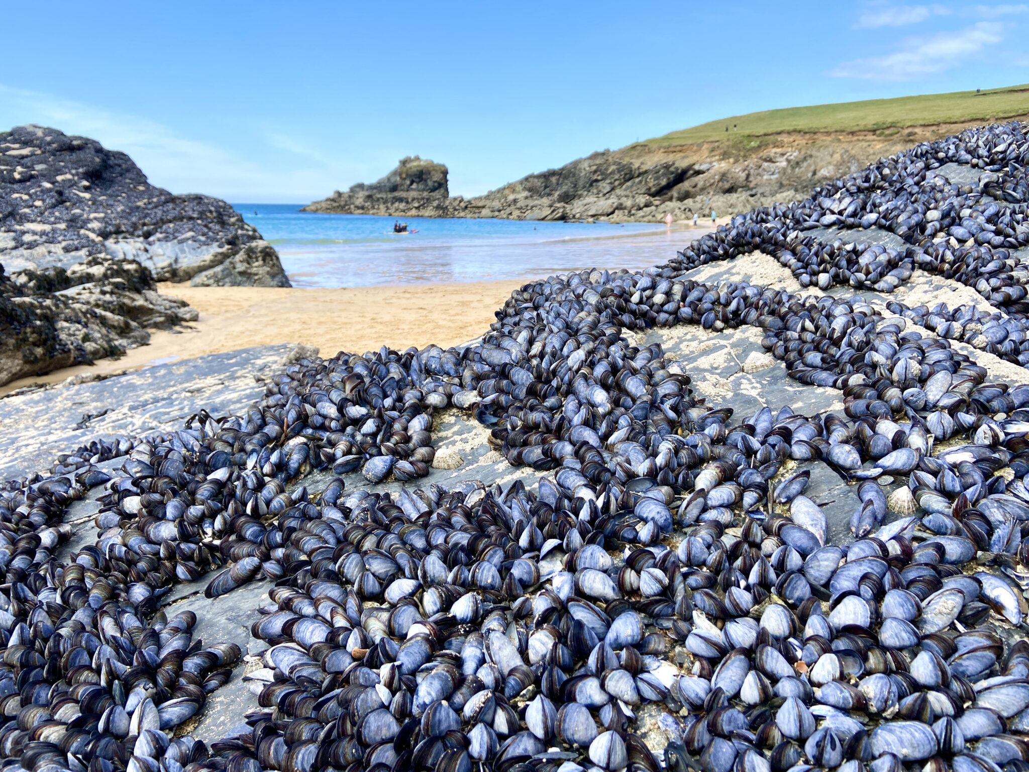 Trevone Bay Beach | Where to go with Kids