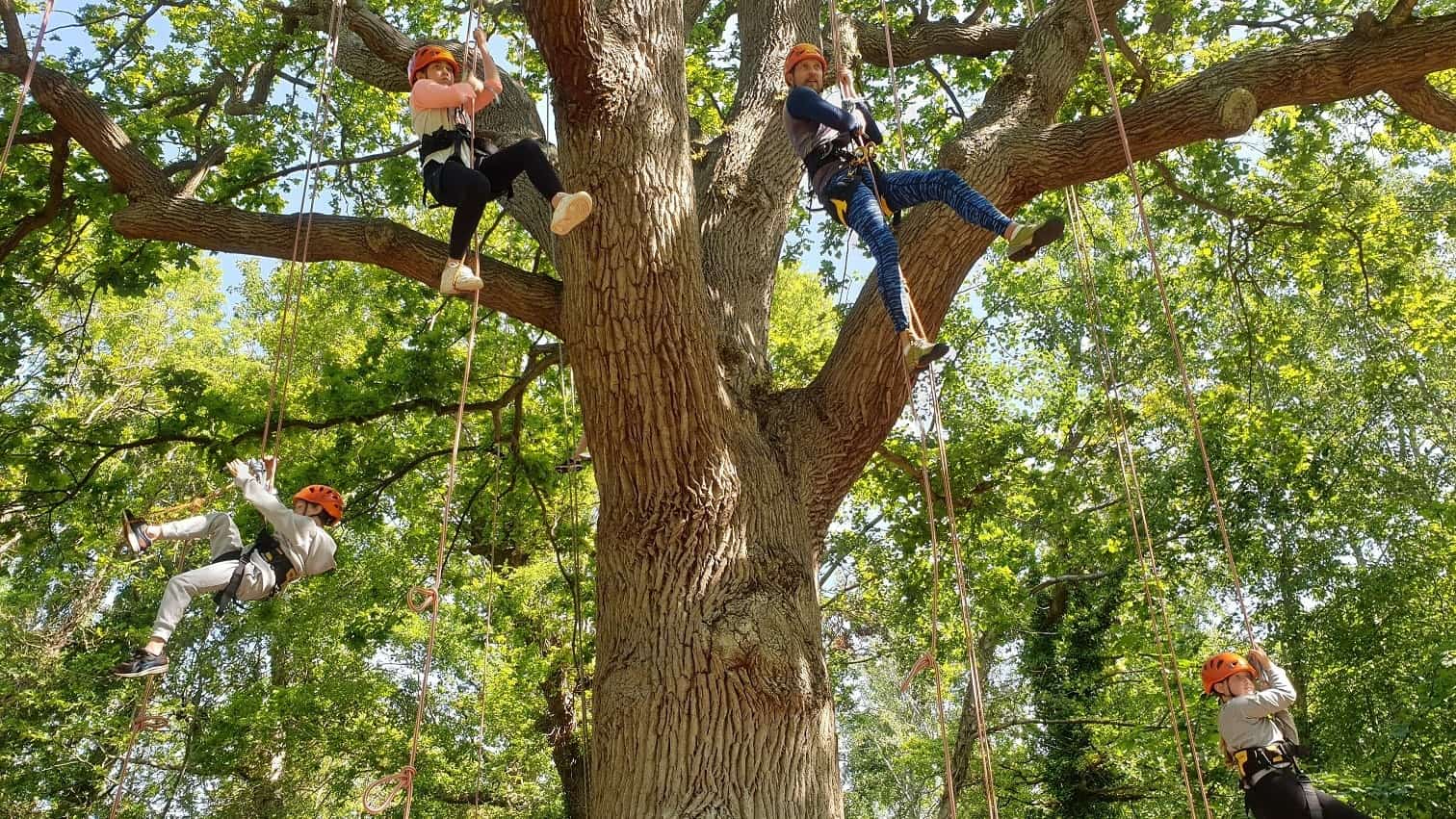 Goodleaf Tree Climbing - Where To Go With Kids