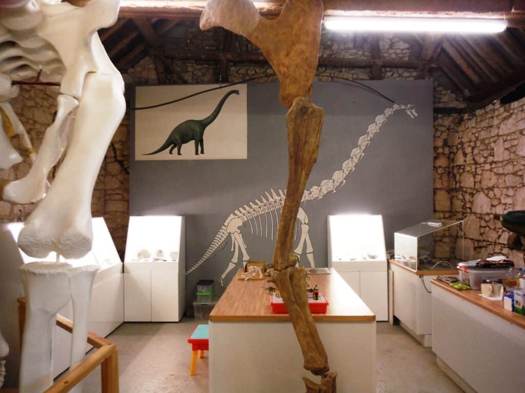 Dinosaur Expedition Centre - Where To Go With Kids